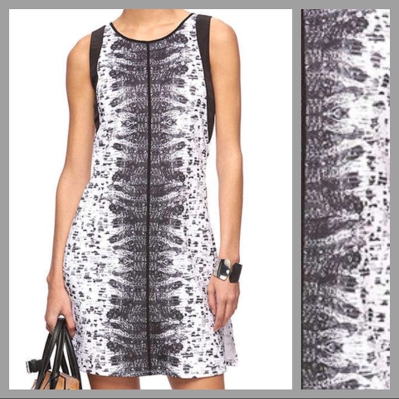 REED | Dresses | Nwt Reed Scuba Dress | Poshmark